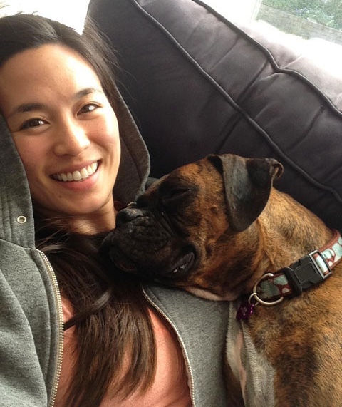 Meisha - May, 2013 | NorCal Boxer Rescue