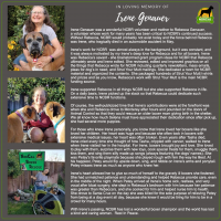 Home | NorCal Boxer Rescue